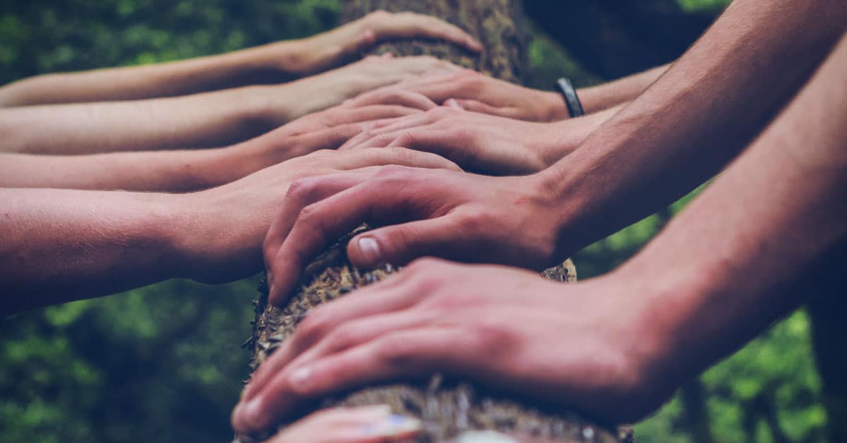 Musicians, Here's How You Can Become More Involved In Your Local ...