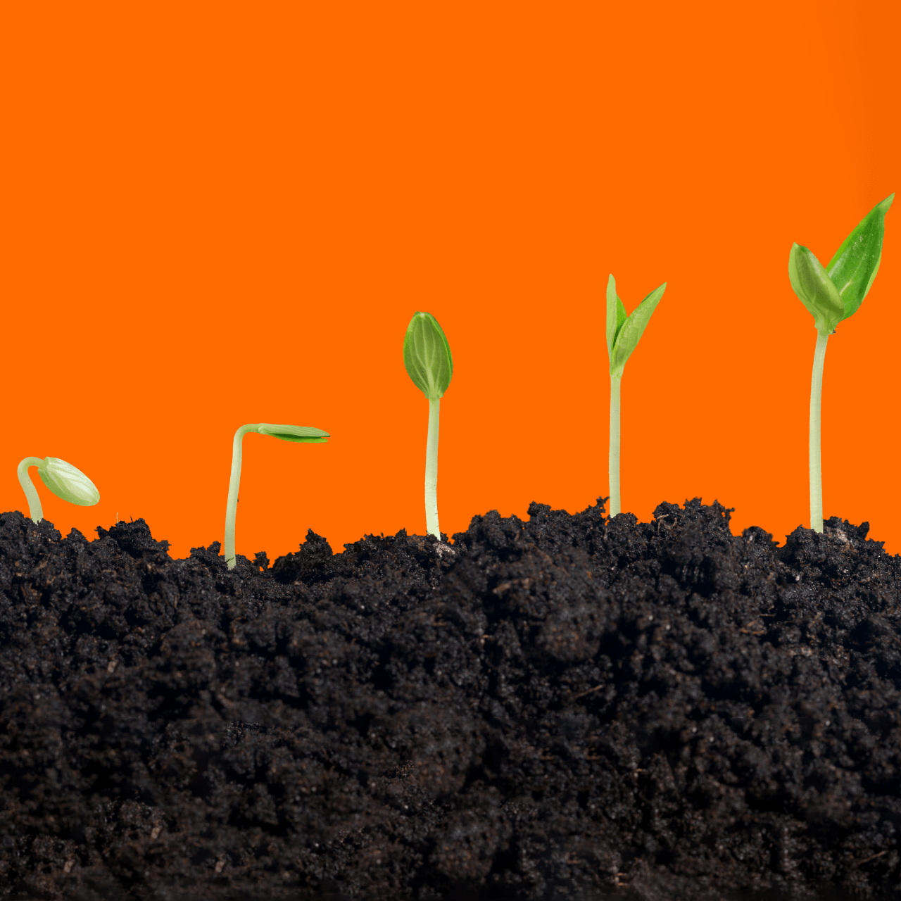 Are music streaming farms really that bad? Take a closer look... - Hypebot