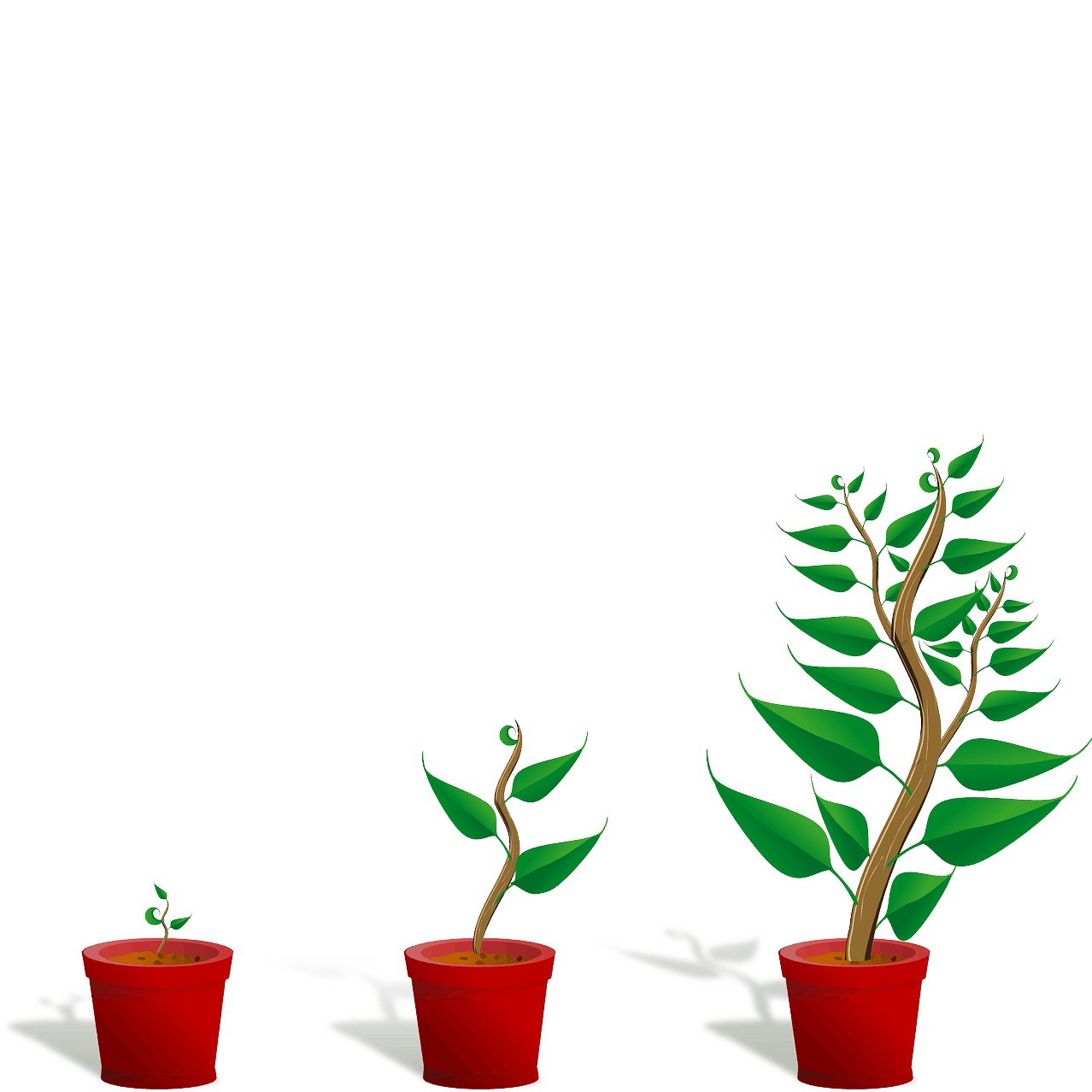 How Scott Orr grew as an independent artist and launched a record label ...